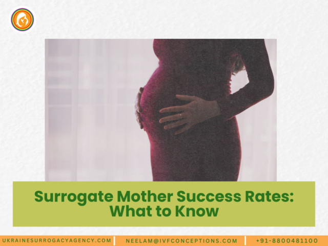 Surrogate Mother Success Rates: What to Know | Ukraine Surrogacy Agency